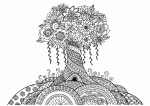 Adult Coloring Pages – Nursery Enterprises